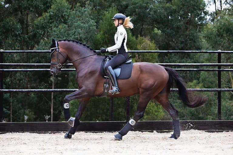 Versace | Bloomfield Farm