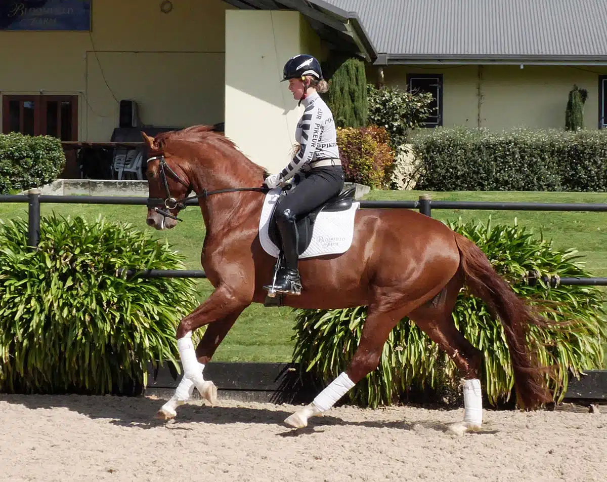 Forenz | Bloomfield Farm