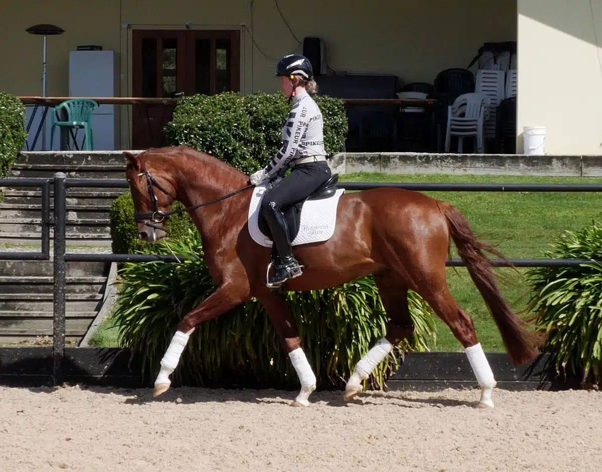 Forenz | Bloomfield Farm