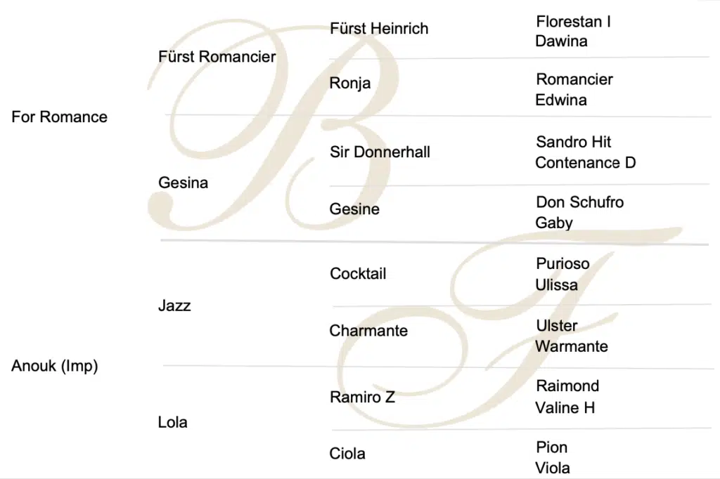 Forenz | Bloomfield Farm