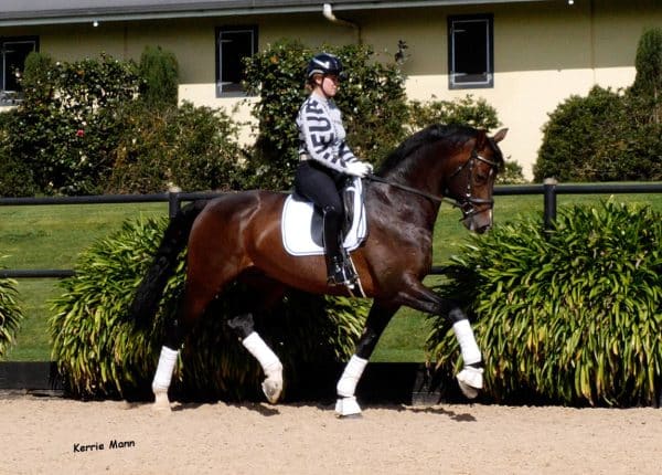 Home | Bloomfield Farm